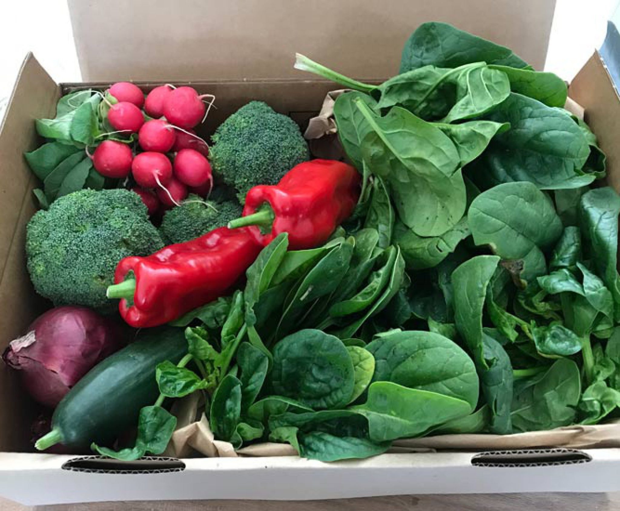 Biologisch Groentepakket Maaltijdboxgroningen